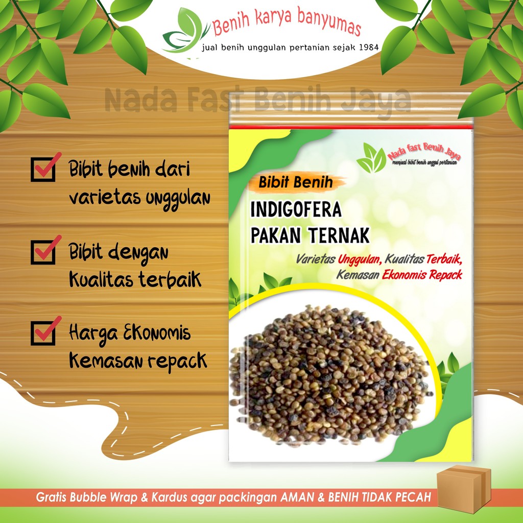 Jual 50 biji Benih Indigofera Pakan Ternak | Shopee Indonesia
