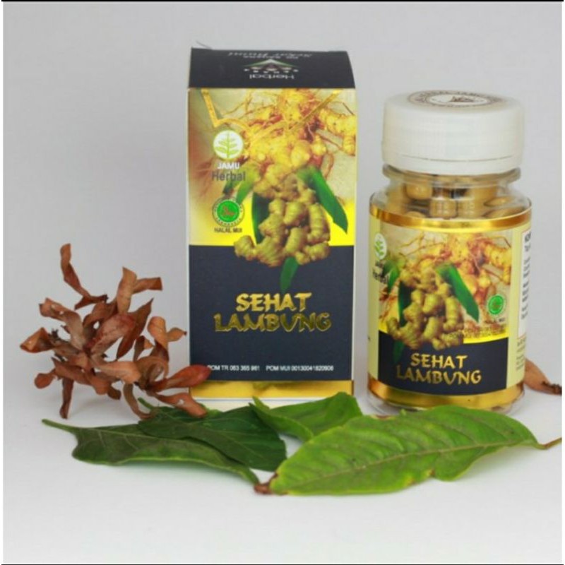 Jual kapsul sehat lambung sejar bumi obat asam lambung maag gerd ...