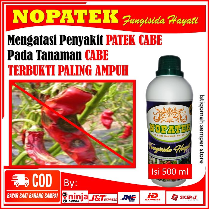 Jual Promo Obat Atasi Penyakit Patek Cabe - NOPATEK Fungisida Hayati ...
