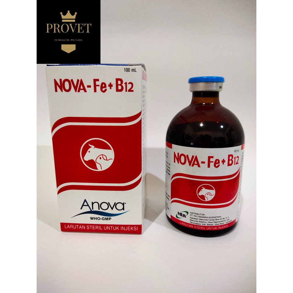 Jual NOVA FE +B12 100 ml Obat Anti Anemia | Shopee Indonesia