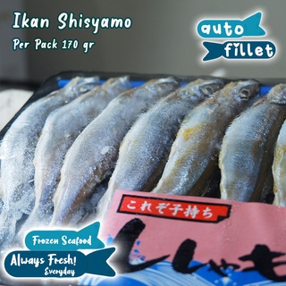 Jual IKAN SHISAMO FISH / SISAMO / SHISYAMO / IKAN TELUR IMPORT JEPANG ...