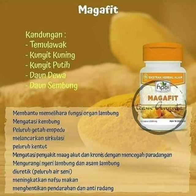 Harga Magafit Terbaru Januari 2023 |BigGo Indonesia