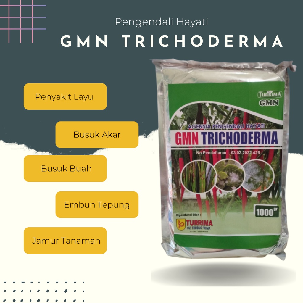 Jual GNM Trichoderma, BISA COD Obat Layu Fusarium Pada Pisang pupuk untuk tanaman layu pupuk ...