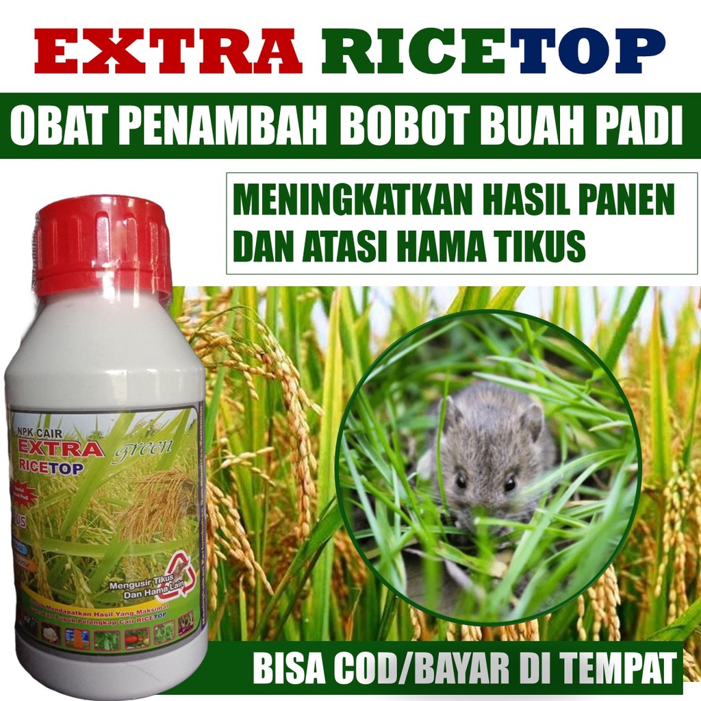 Jual EXTRA RICETOP - Obat Penambah Bobot Padi Paling Bagus dan Atasi Hama Tikus - Fungisida ...