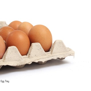 Jual Egg tray telur karton egg tray | Shopee Indonesia