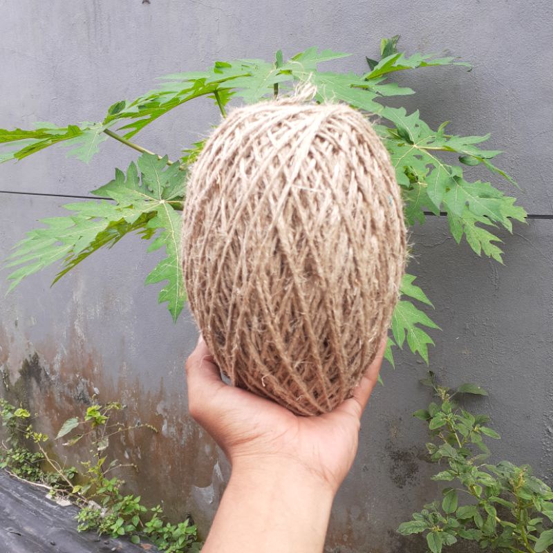 Jual tali goni tali rami kecil 2mm 2ply 500 meter | Shopee Indonesia