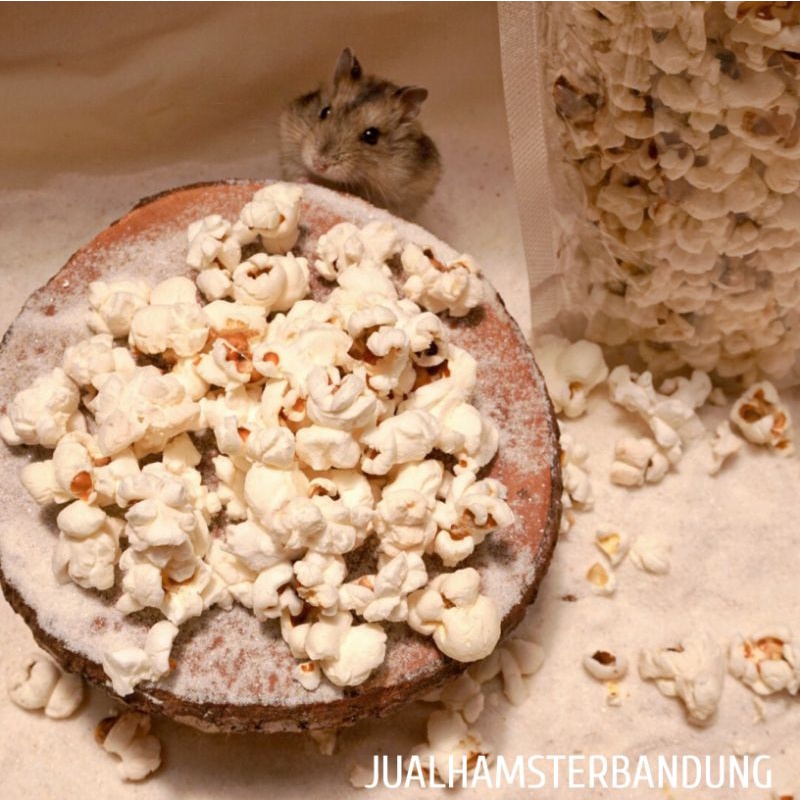 Jual Popcorn Hamster | Cemilan Popcorn Hamster | Shopee Indonesia