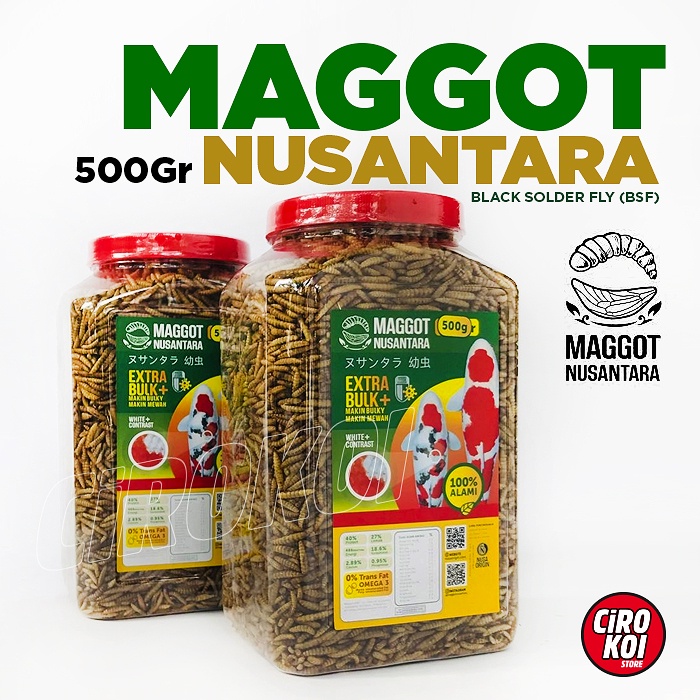 Jual Maggot Nusantara MAGGOT KERING PREMIUM 500GR maggot bsf 500Gr Koi ...