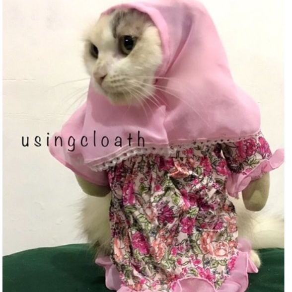 Jual Baju Kucing Viral Cosplay Ukhty Indonesia|Shopee Indonesia