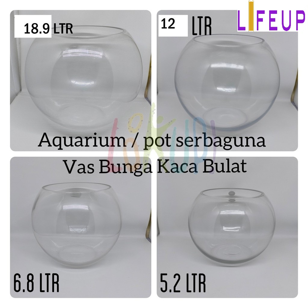 Jual JUMBO AQUARIUM BULAT/FISH BOWL /FISH BALL/Pot Tanaman Air ...