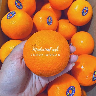 Jual jeruk wogan | Shopee Indonesia