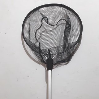 Jual Jaring / Jaring Tangkap Kucing | Luwak | Musang Kualitas Terbaik ...