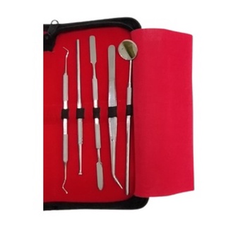 Jual Dental Instrument Kit Compact Set Isi 10 Diagnostic Set Stainless ...