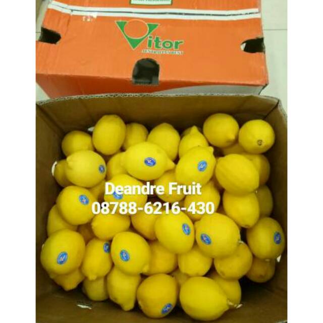 Buah Lemon Australia 15-16kg HARGA GUDANG DIJAMIN MURAH | Shopee Indonesia