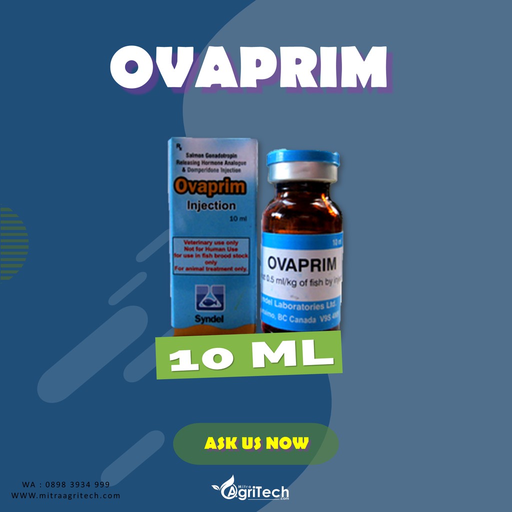 Jual Ovaprim Injection Syndel Origin Canada Hormon Gnrha Suntik 10 ML ...