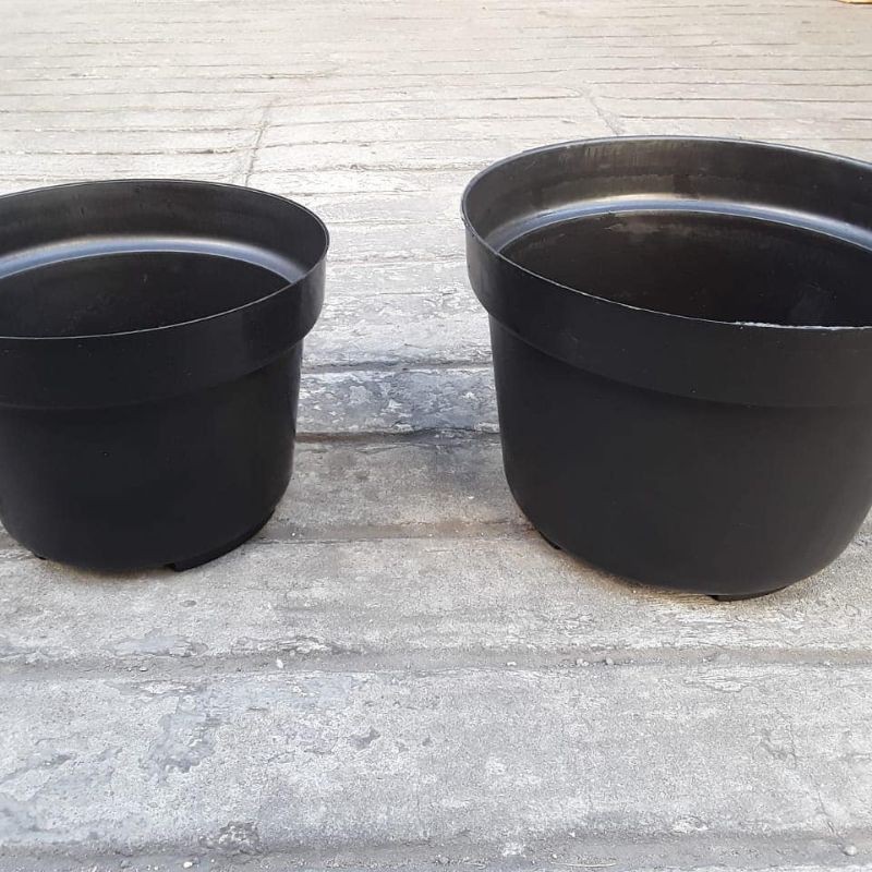 Jual pot raja | Shopee Indonesia