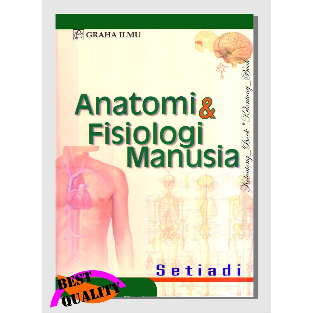 Jual Anatomi & Fisiologi Manusia - Setiadi | Shopee Indonesia