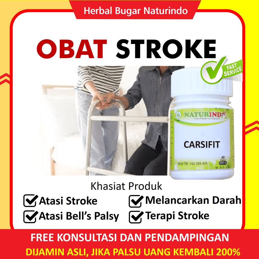 Jual Obat Stroke Obat Bells Palsy Terapi Obat Stroke Ringan Naturindo ...