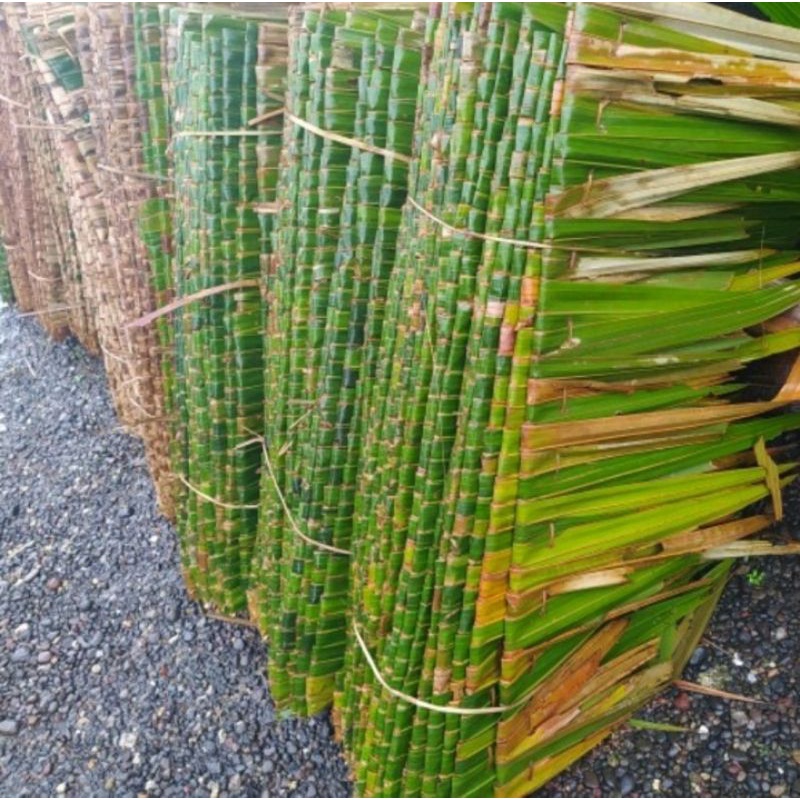 Jual Atap daun rumbia atap dahon atap gazebo natural | Shopee Indonesia