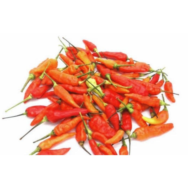 Jual CABE RAWIT MERAH SEGAR PILIHAN 100 Gr - 1 Kg | Shopee Indonesia