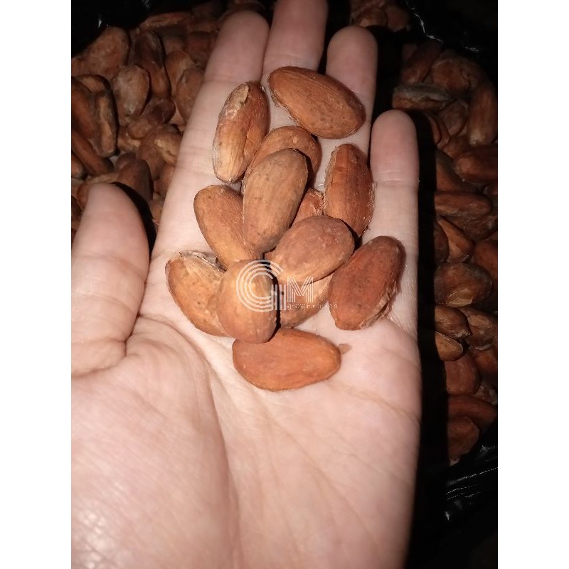 Jual Biji coklat(kakao) asli dari wonogiri 1kg | Shopee Indonesia