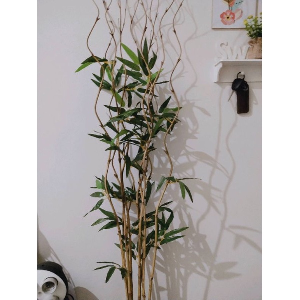 Jual Bambu Stick Inul, Bambu ulir stick | Shopee Indonesia