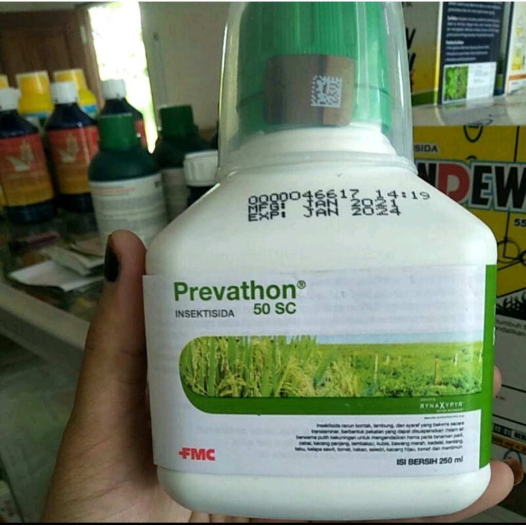 Jual Prevathon 50Sc Insektisida pembasmi Hama Ulat 250ml | Shopee Indonesia