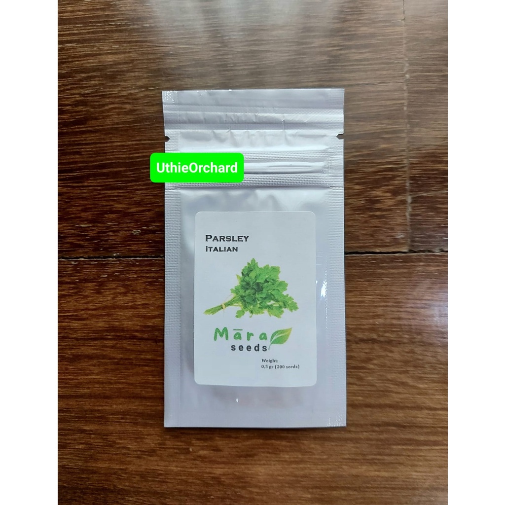 Jual Mara Seeds - Parsley (Peterseli) Italian (200 seeds) | Shopee ...
