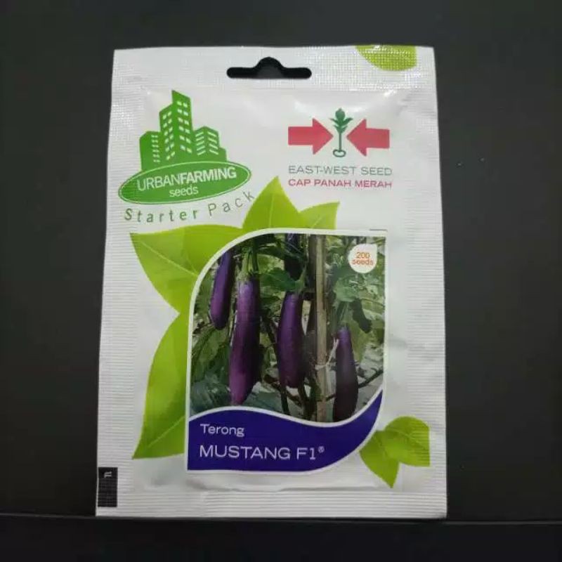 Jual Benih Terong Ungu Mustang F1 | Shopee Indonesia