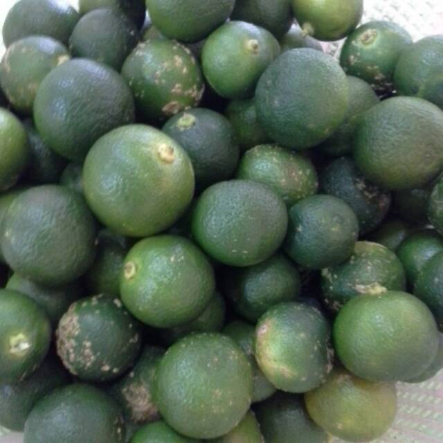 Jual Jeruk kunci lemon cui kitna kasturi lemon cina Bangka 1 kg ...