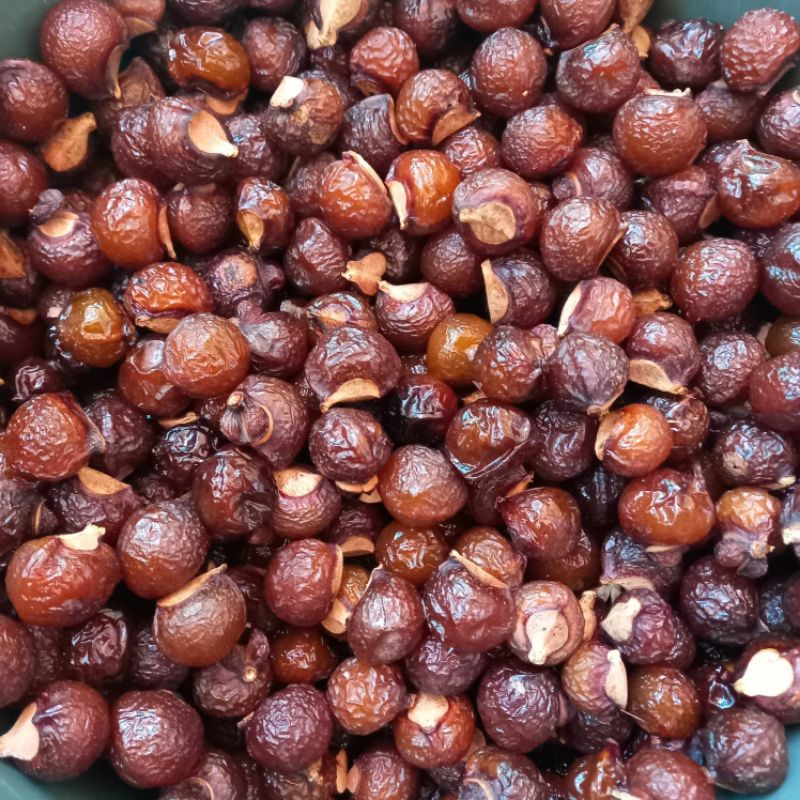 Jual LERAK UTUH DENGAN BIJI / 1 KG | Shopee Indonesia