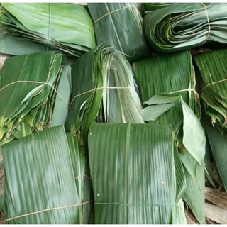 Jual Daun Bambu Bakcang 100 Lembar Daun Bambu Segar Bungkus Bacang ...