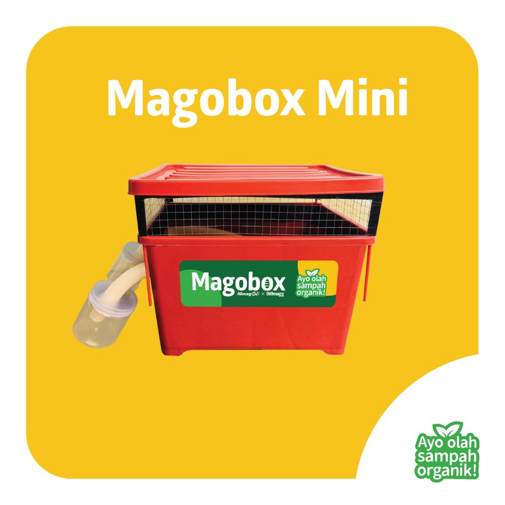 Harga Magobox Terbaru Oktober 2021 | BigGo Indonesia