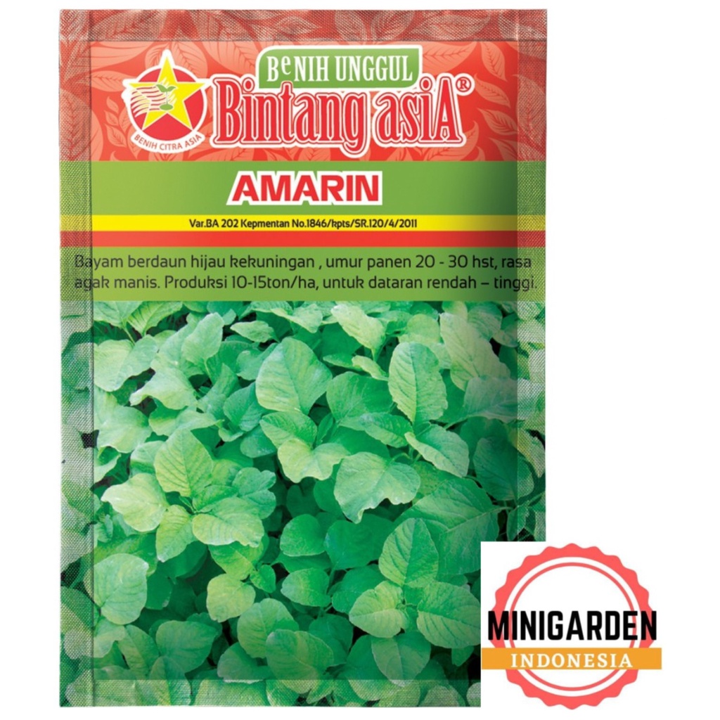 Jual BAYAM HIJAU AMARIN 100 GRAM PACK BESAR benih bibit biji bayam ...