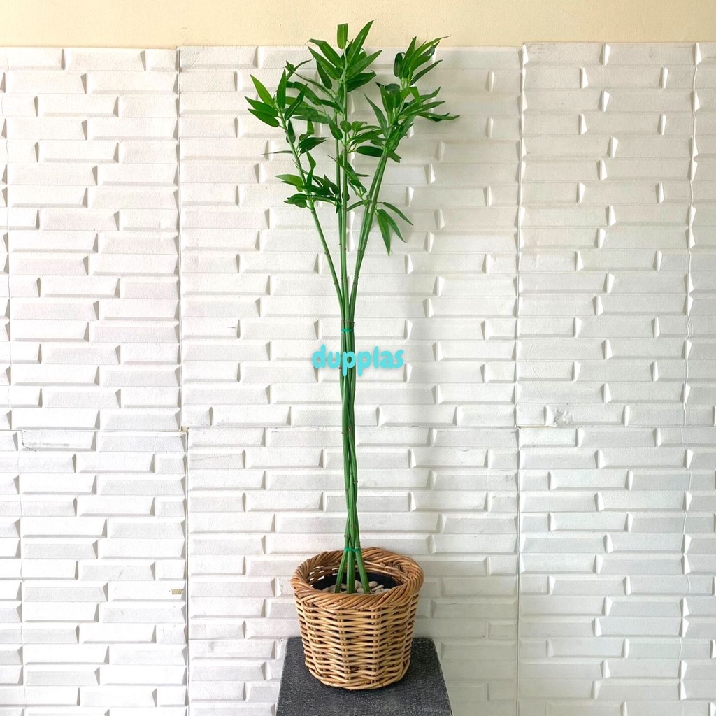 Jual Pohon Daun Bambu Air Jepang Latex Artificial Cover Pot Rotan Small ...