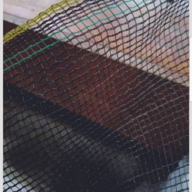 Jual Jaring ikan waring jaring waring Indonesia|Shopee Indonesia Jual Jaring ikan waring jaring waring Indonesia|Shopee Indonesia