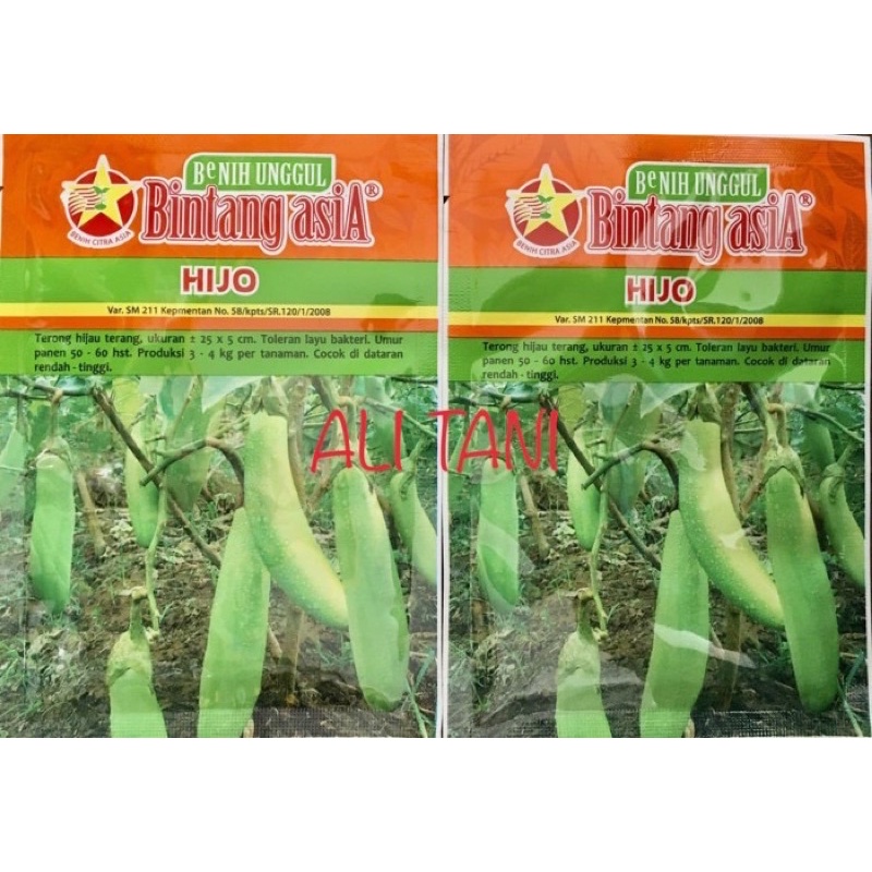 Jual Benih/Bibit Terung/Terong Hijau HIJO kemasan 10 gram | Shopee ...