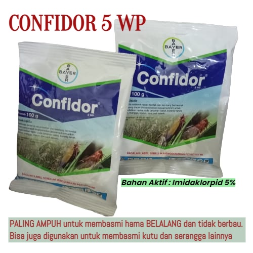 Jual Insektisida Confidor 5 WP 100 Gram Brayer Bahan Aktif Imidaklorpid ...
