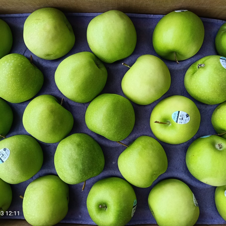 Jual Apel Hijau Granny Smith 1kg | Shopee Indonesia
