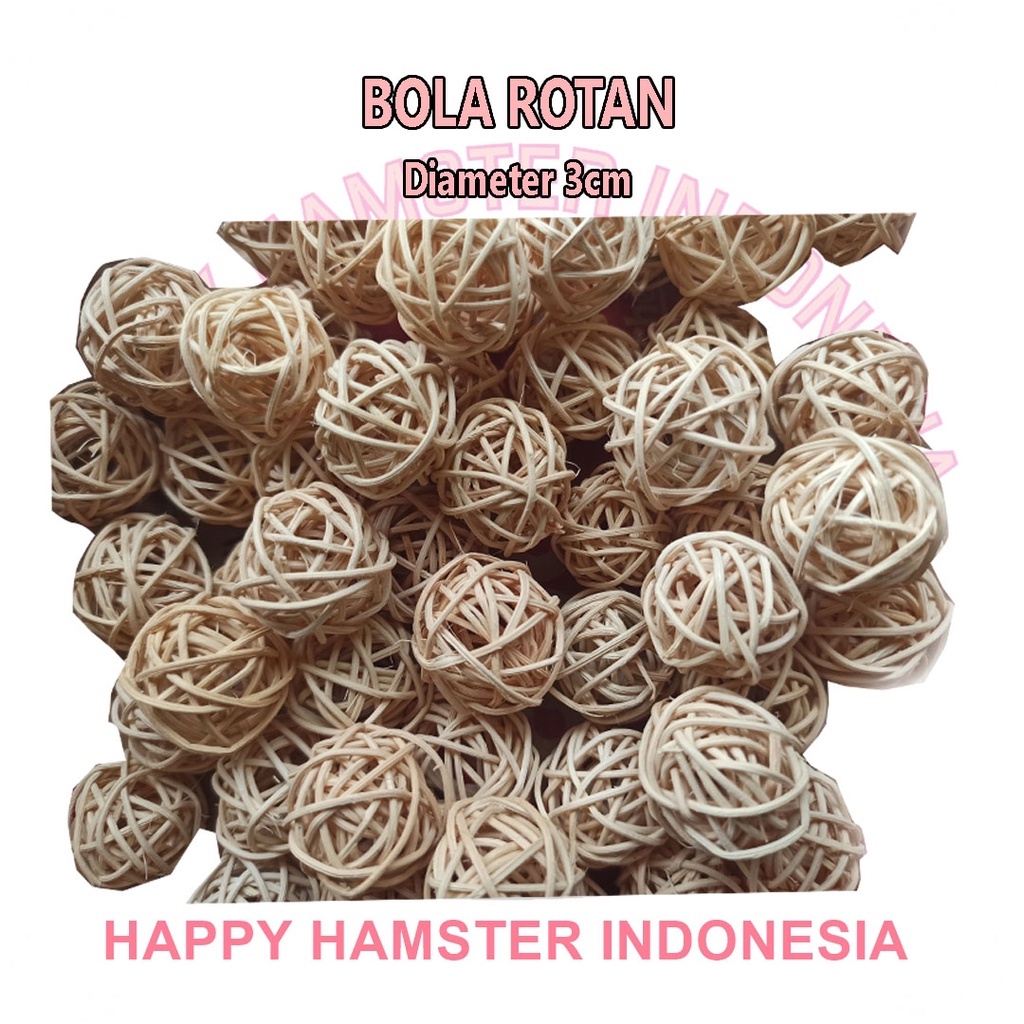 Jual [HHI] BOLA ROTAN MINI 3 CM HIASAN DEKORASI KANDANG HAMSTER / BOLA ...