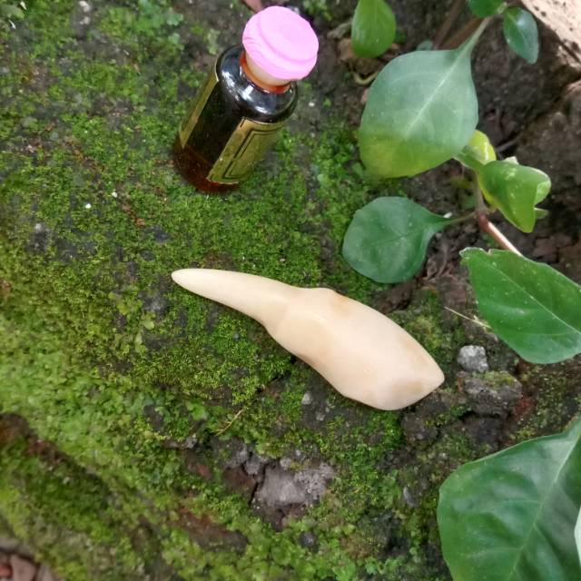 Harga Siung Terbaru November 2021 | BigGo Indonesia