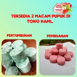 Jual Pupuk npk tablet golden star isi 50 biji | Shopee Indonesia