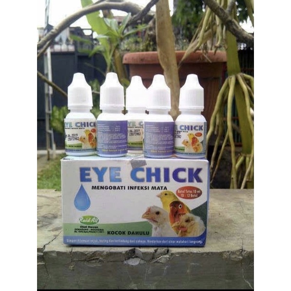 Jual EYE CHICK OBAT TETES MATA AYAM 10ml raidall | Shopee Indonesia