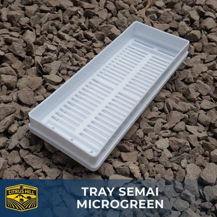 Jual Tray Semai Microgreen Hydroponic - Putih | Shopee Indonesia