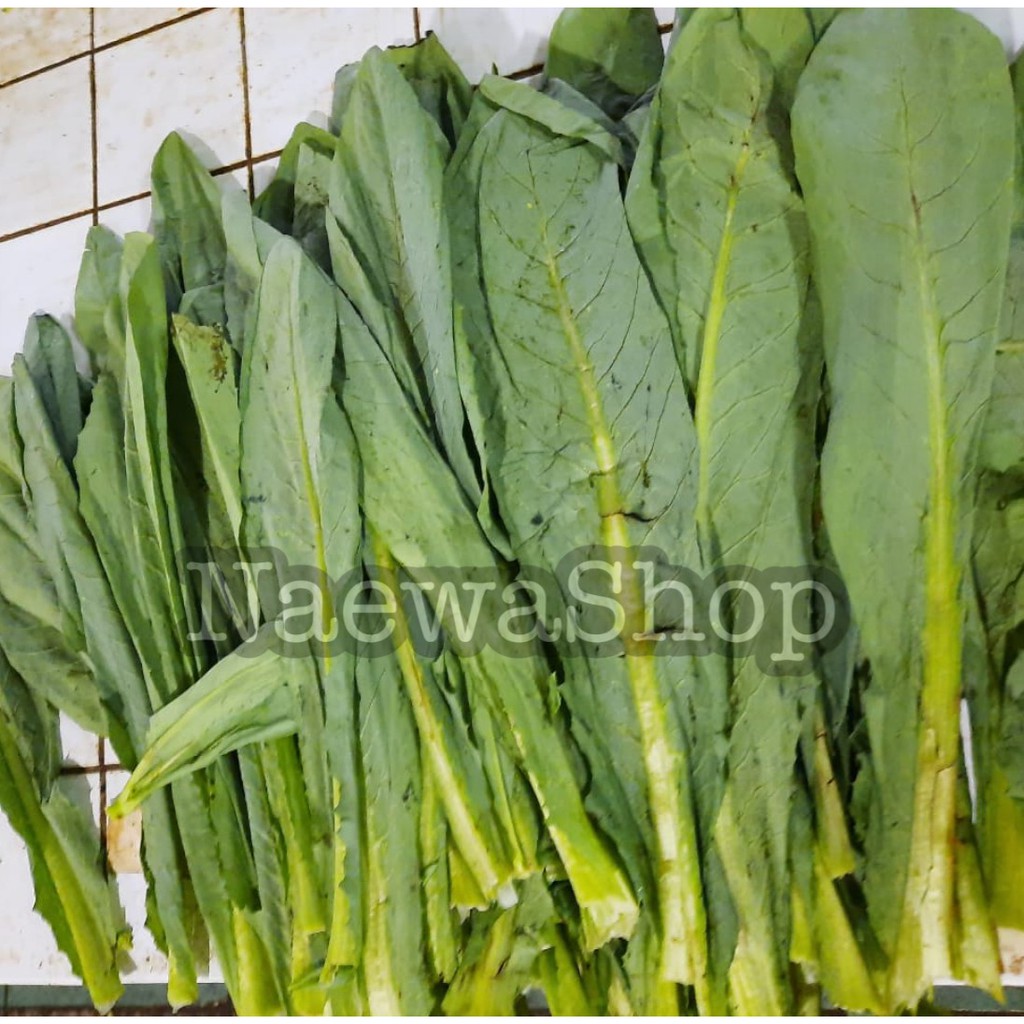 Jual Fumak / Kumak / Fumek / Kumek pakan torto - reptil - kelinci ...