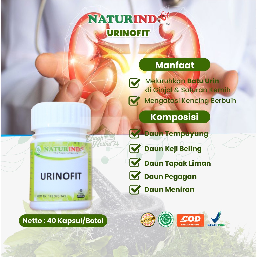 Jual Urinofit Obat Ginjal Untuk Urin Berbusa Herbal Meluruhkan Batu Ginjal Memperlancar Buang ...