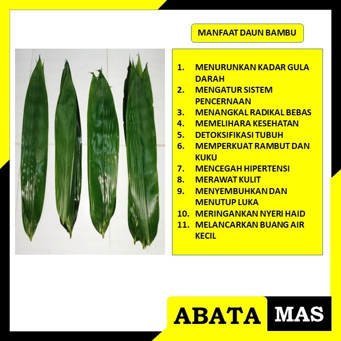 Jual DAUN BAMBU ANEKA UKURAN UNTUK OBAT DAN PEMBUNGKUS MAKANAN | Shopee ...