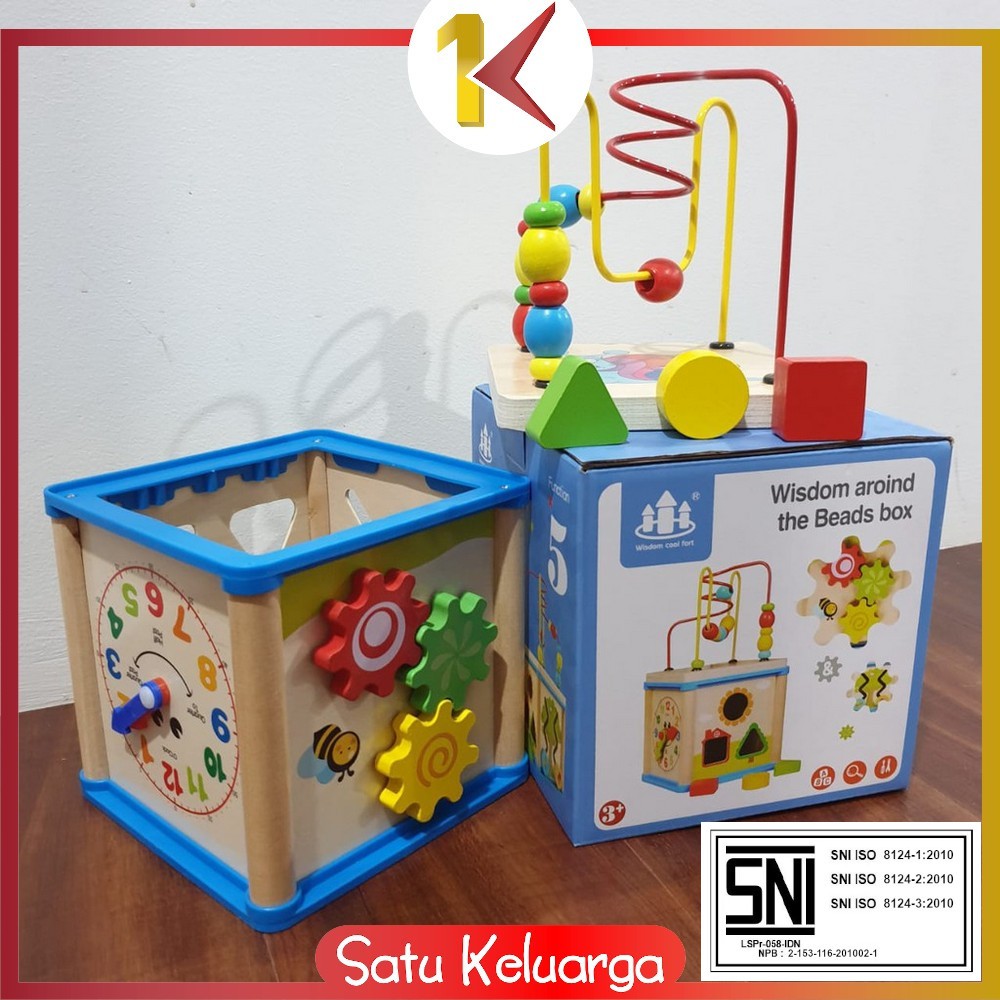 Jual SK-M65 Mainan Edukasi Anak Puzzle Kayu Intelligence / Wisdom Box ...