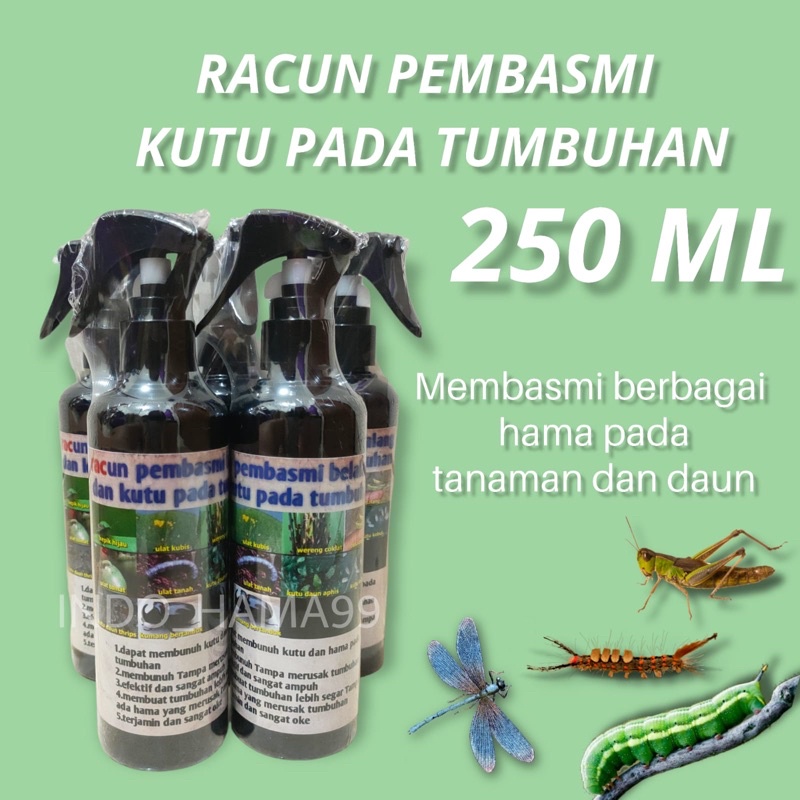 Jual PEMBASMI HAMA SPRAY SEPERTI KUTU DLL KEMASAN 250 ML | Shopee Indonesia