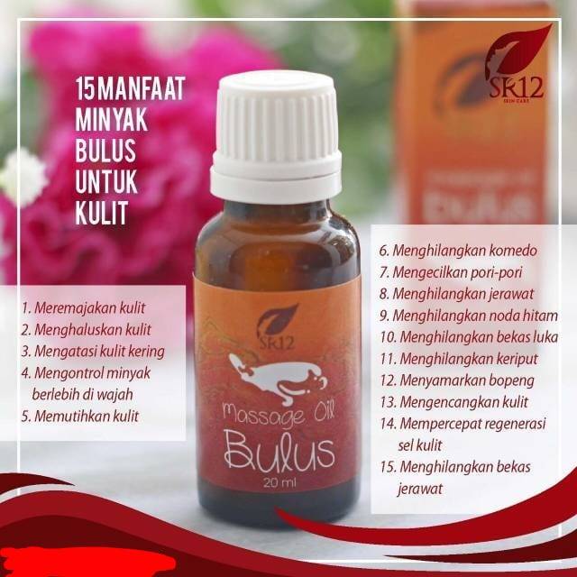 Massage Oil Bulus SR12 / Minyak Bulus Herbal | Shopee Indonesia